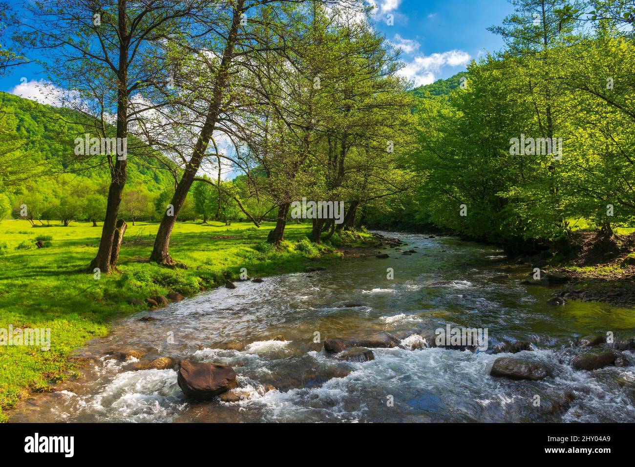 spring landscape with river and trees on the shore. mountains in the ...