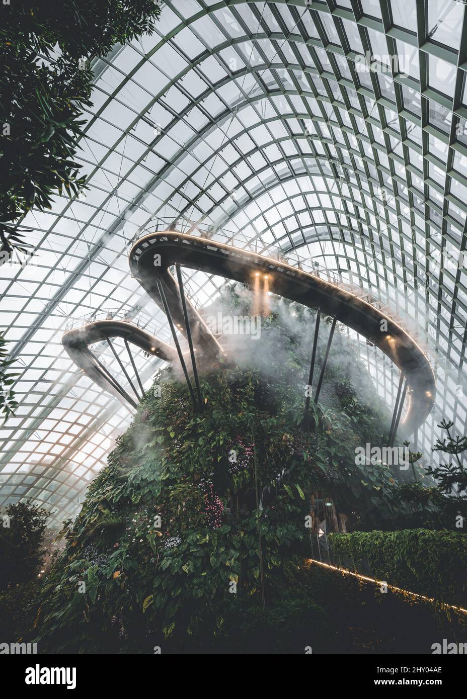 Shot in Singapore Gardens by the Bay's Cloud Forest during the mist ...