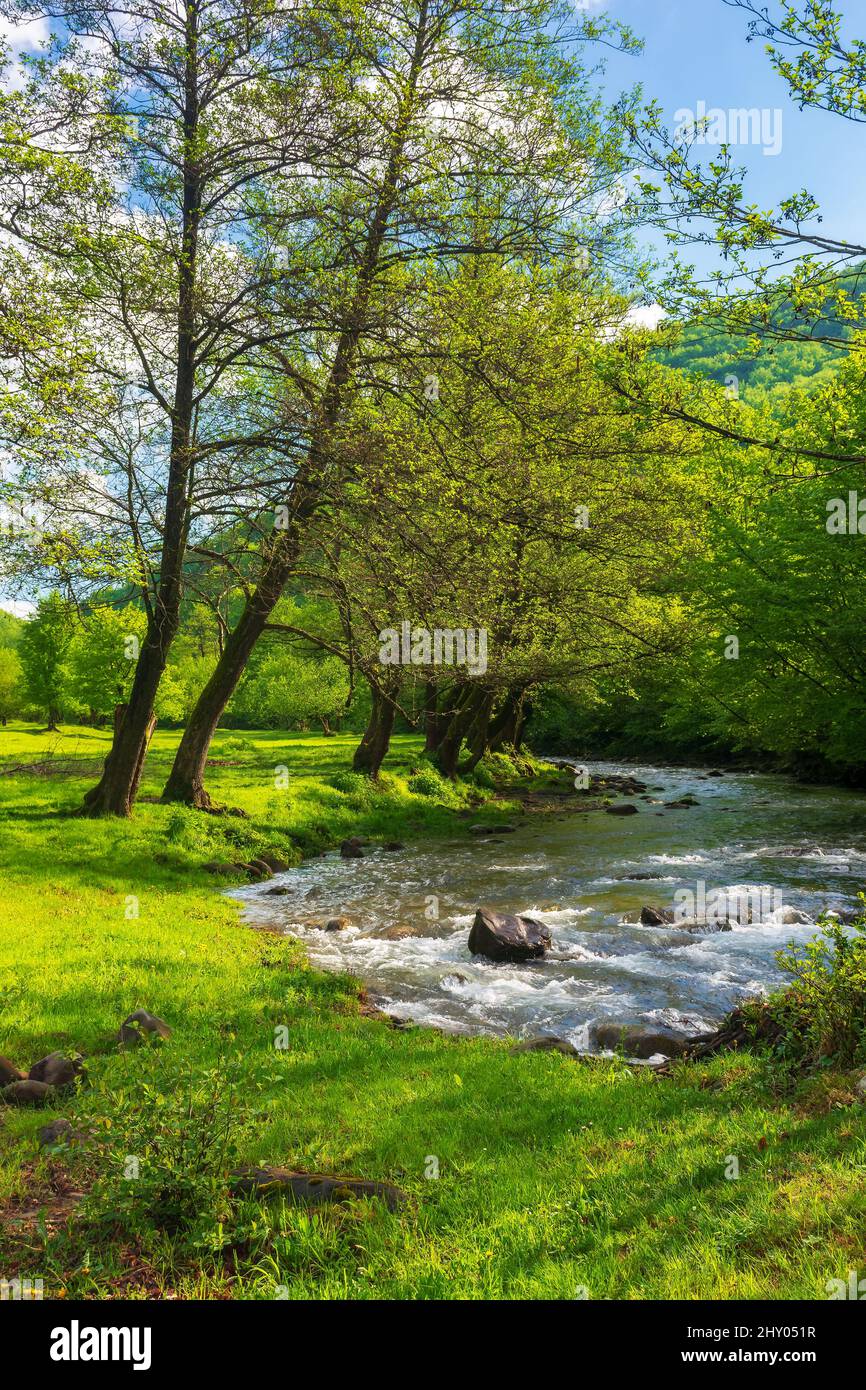 spring landscape with river among park. mountains in the distance ...