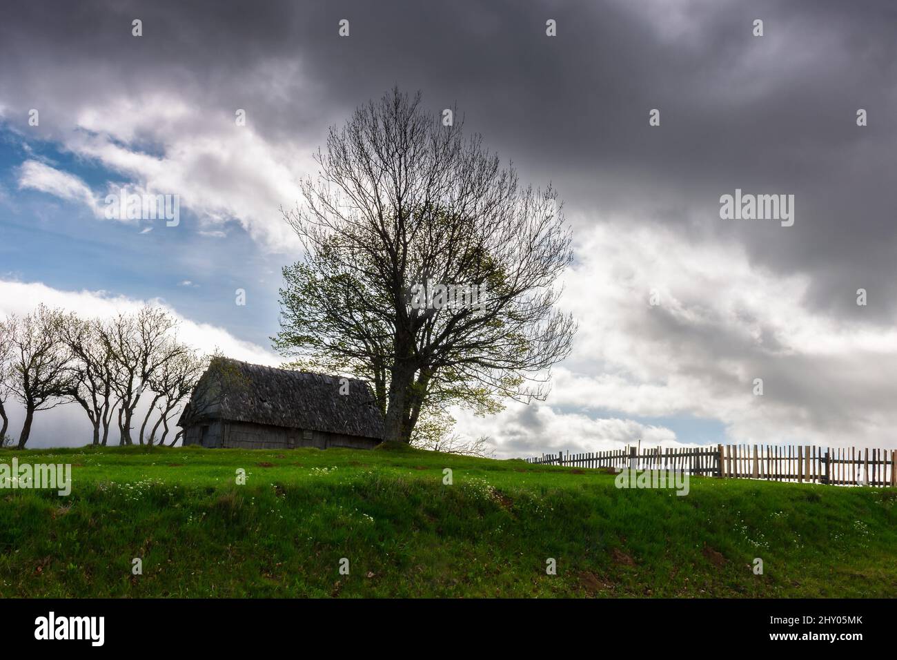 rural landscape in mountains. tree and wooden barn on the hill. nature ...