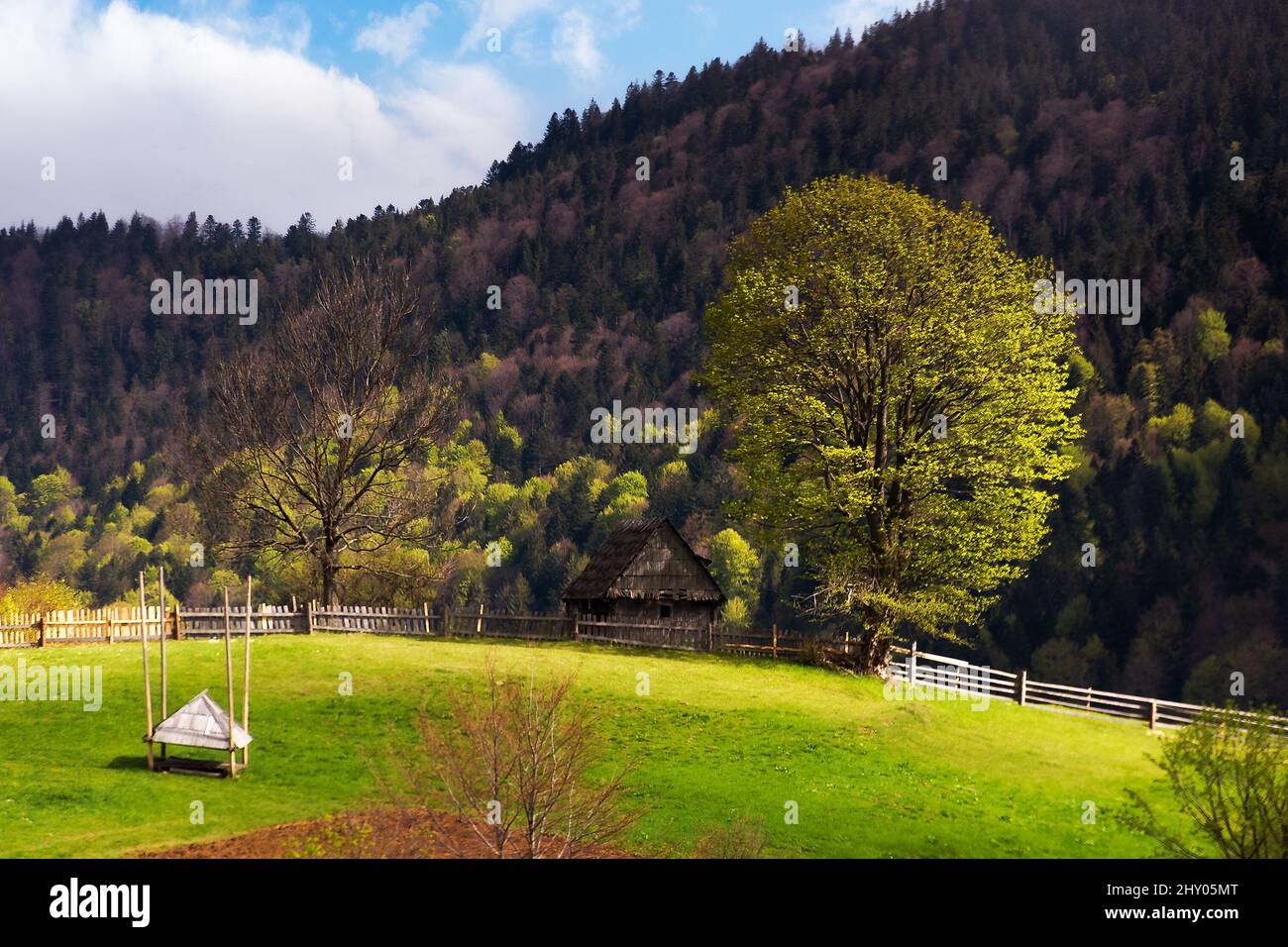 rural landscape in mountains. tree and wooden barn on the hill. nature ...