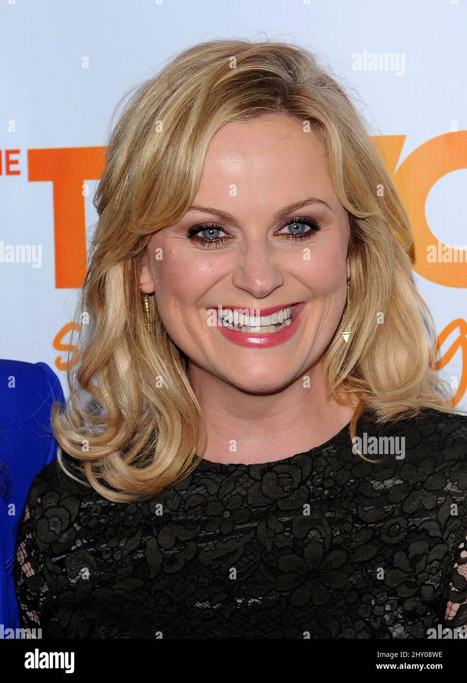 Amy Poehler attending "Trevor Live" 2012 Event Honoring Katy Perry held ...
