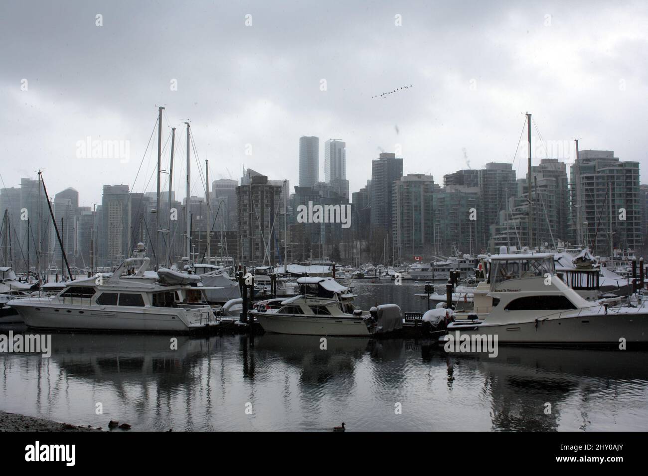 British columbia snow yachts hi-res stock photography and images - Alamy