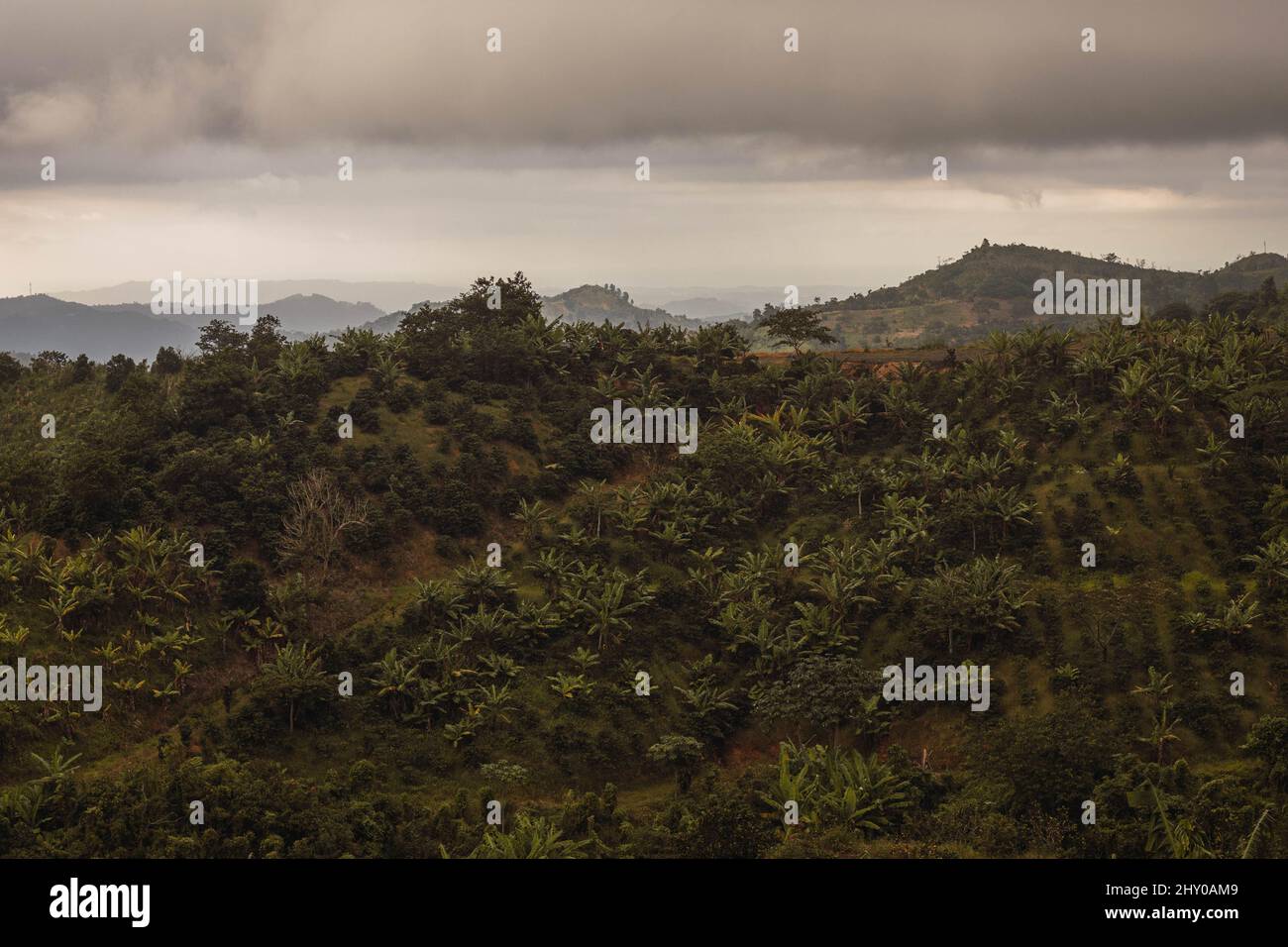 Hills in puerto rico hi-res stock photography and images - Alamy