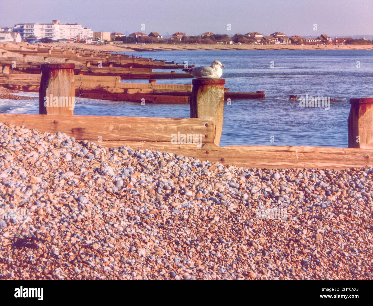 Semi-abstract landscape of English south coast shingle beach at ...