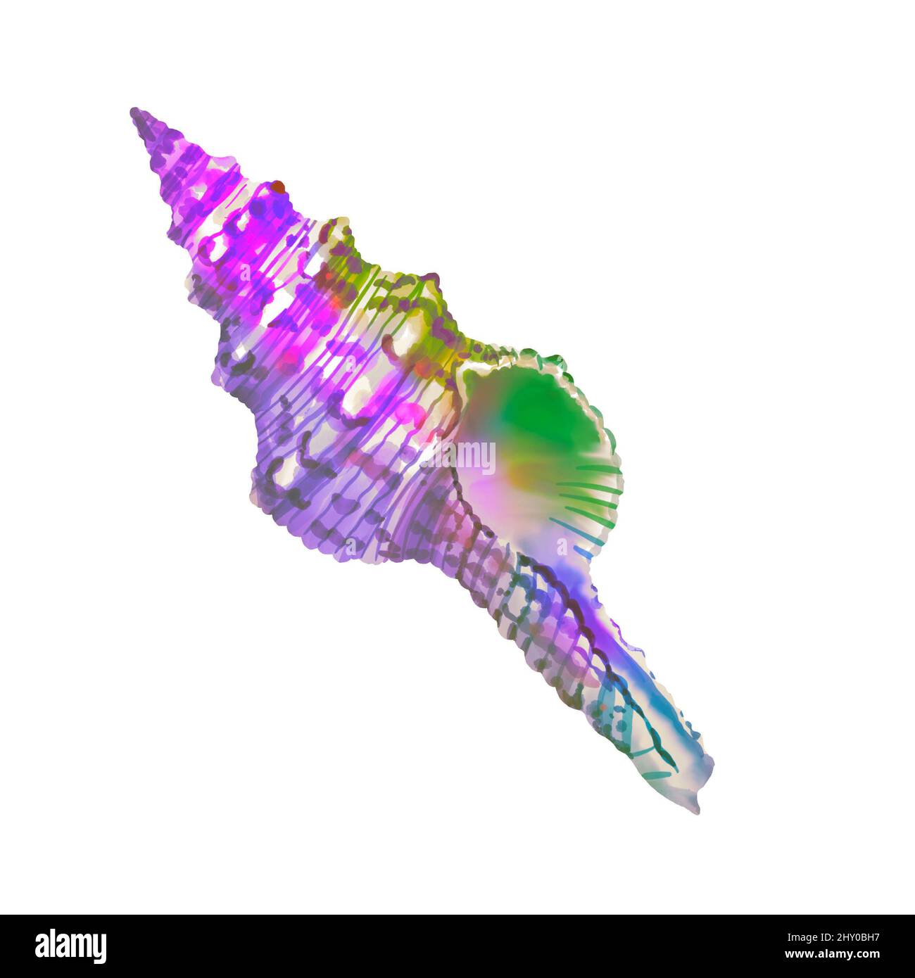 watercolor illustration of rainbow-colored shell. Bright seashells ...