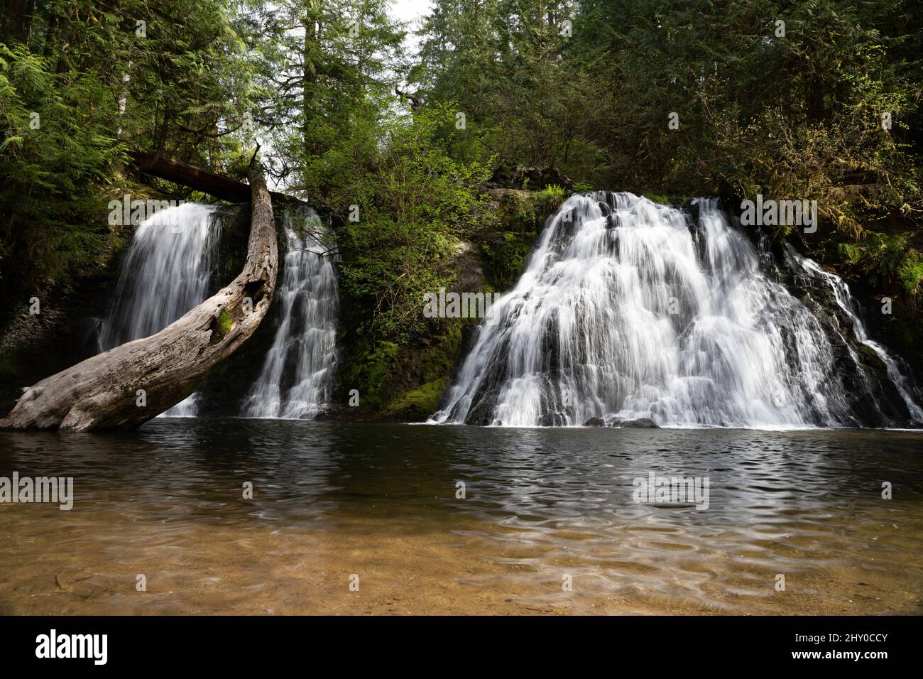 Waterfall in the woods Stock Photo - Alamy