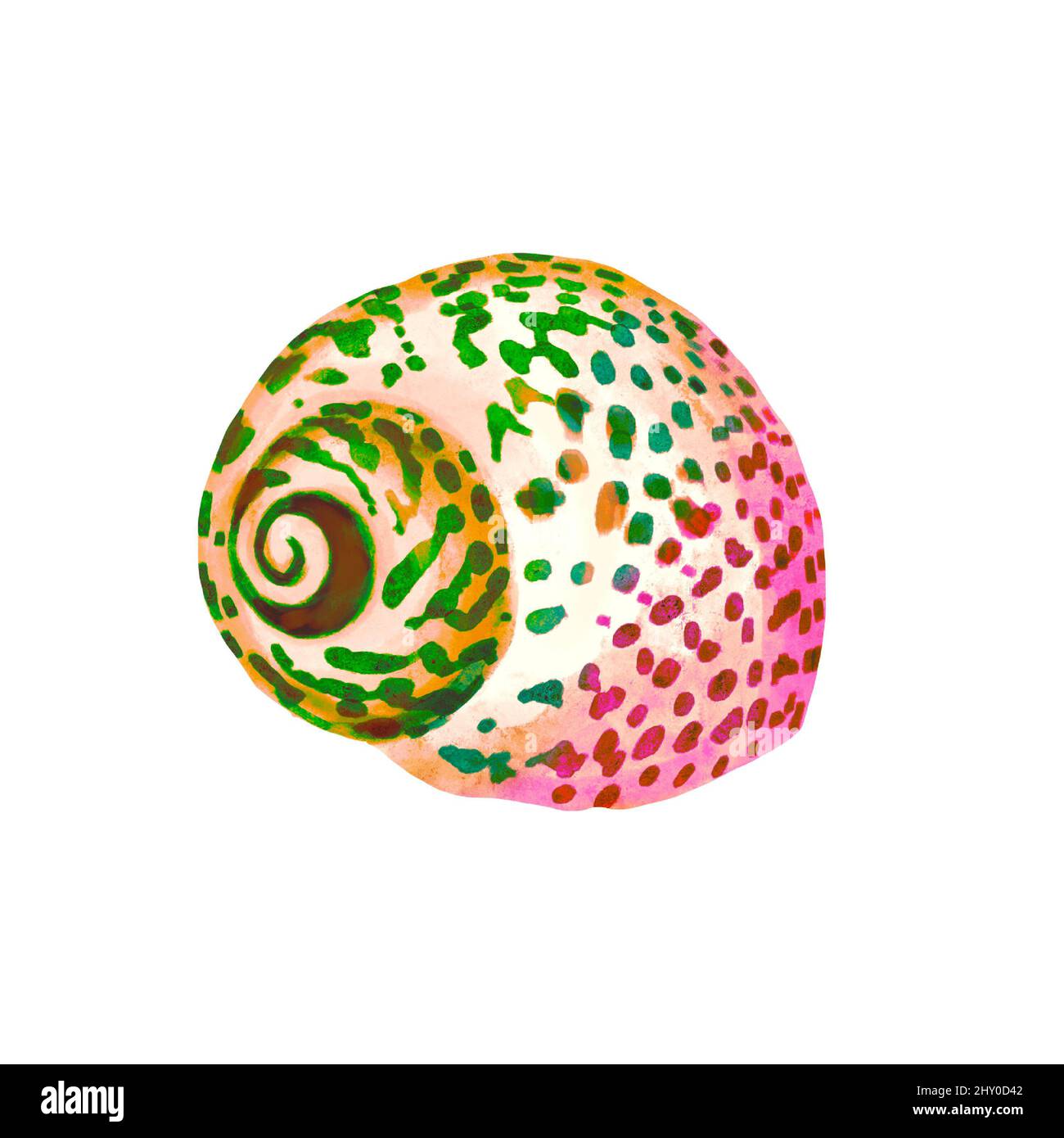 watercolor illustration of rainbow-colored shell. Bright seashells ...