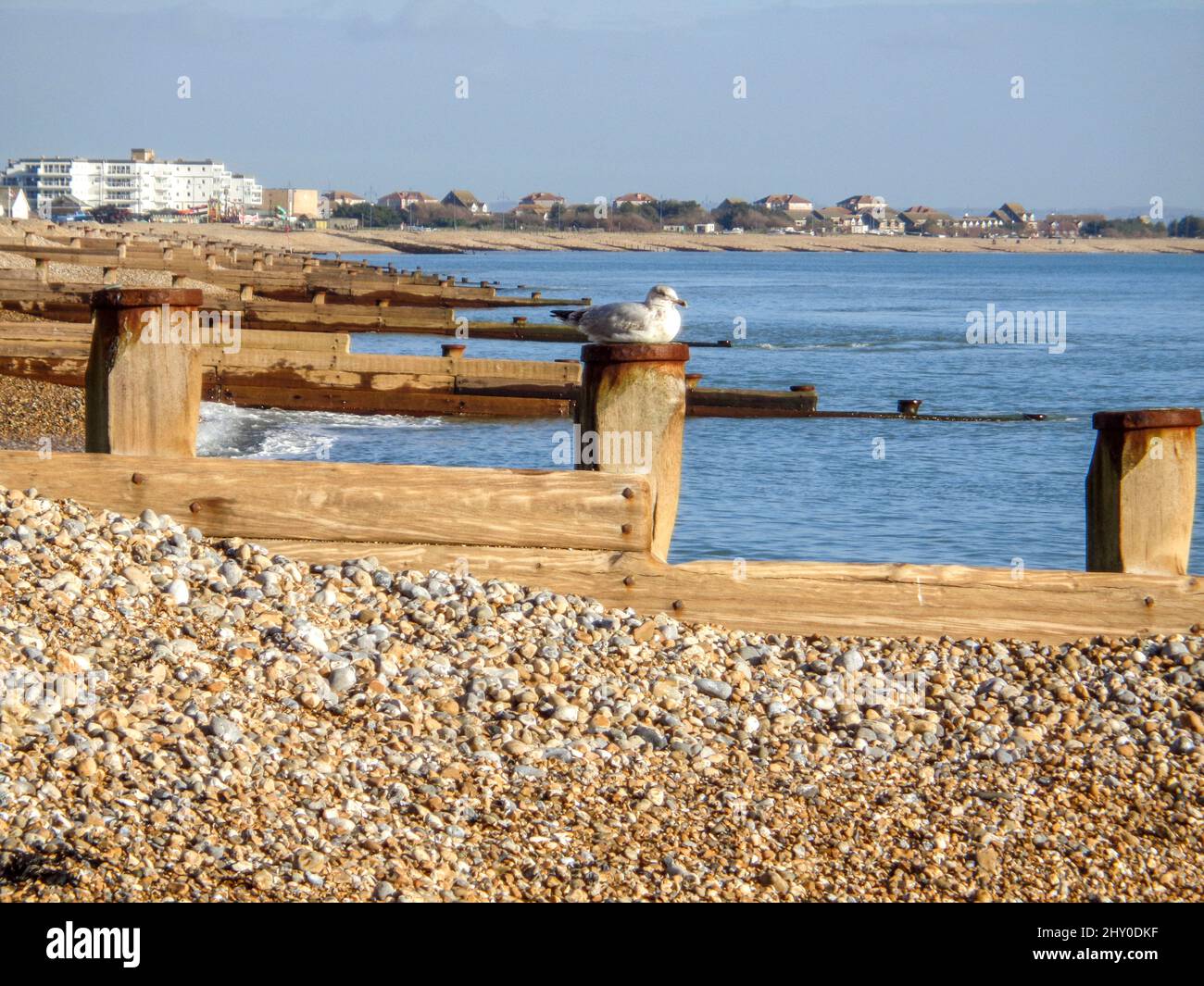 Semi-abstract landscape of English south coast shingle beach at ...