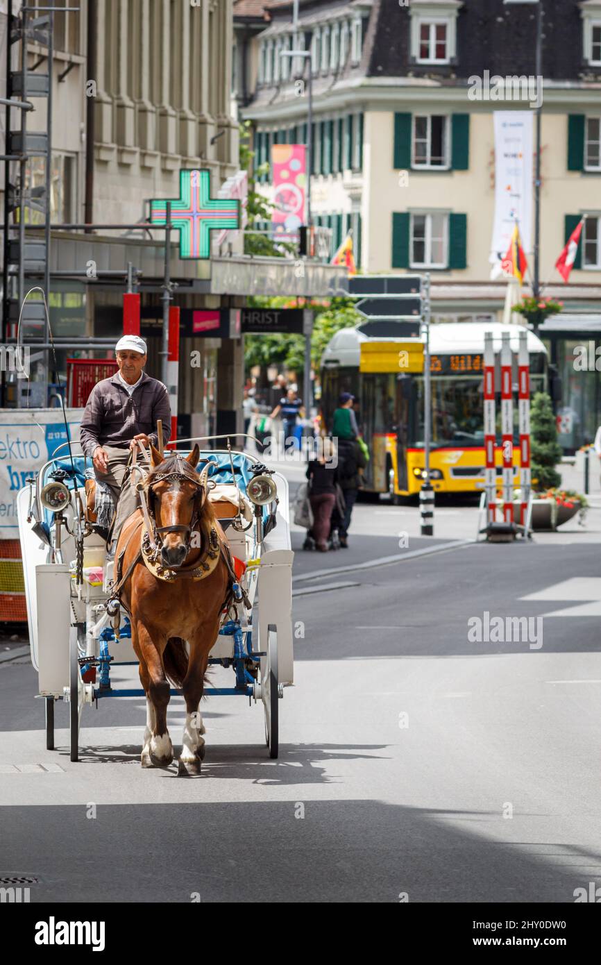 Tour horse pulls a tourist transport cart in Interlaken, Switzerland ...