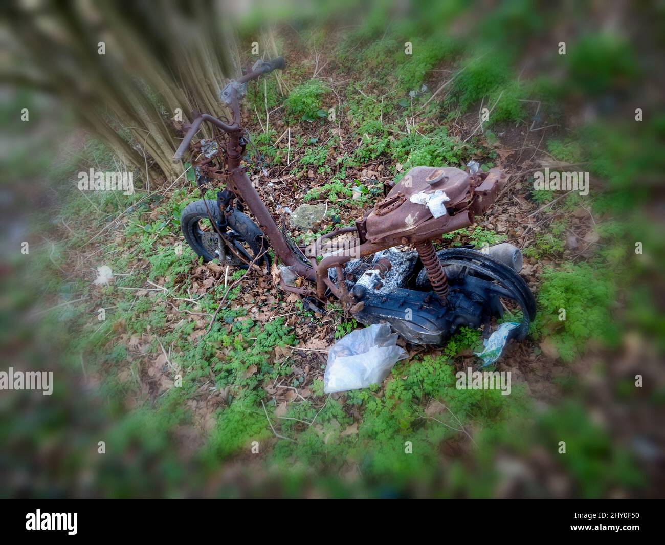 Environmental pollution; found still-life of burned out and discarded ...