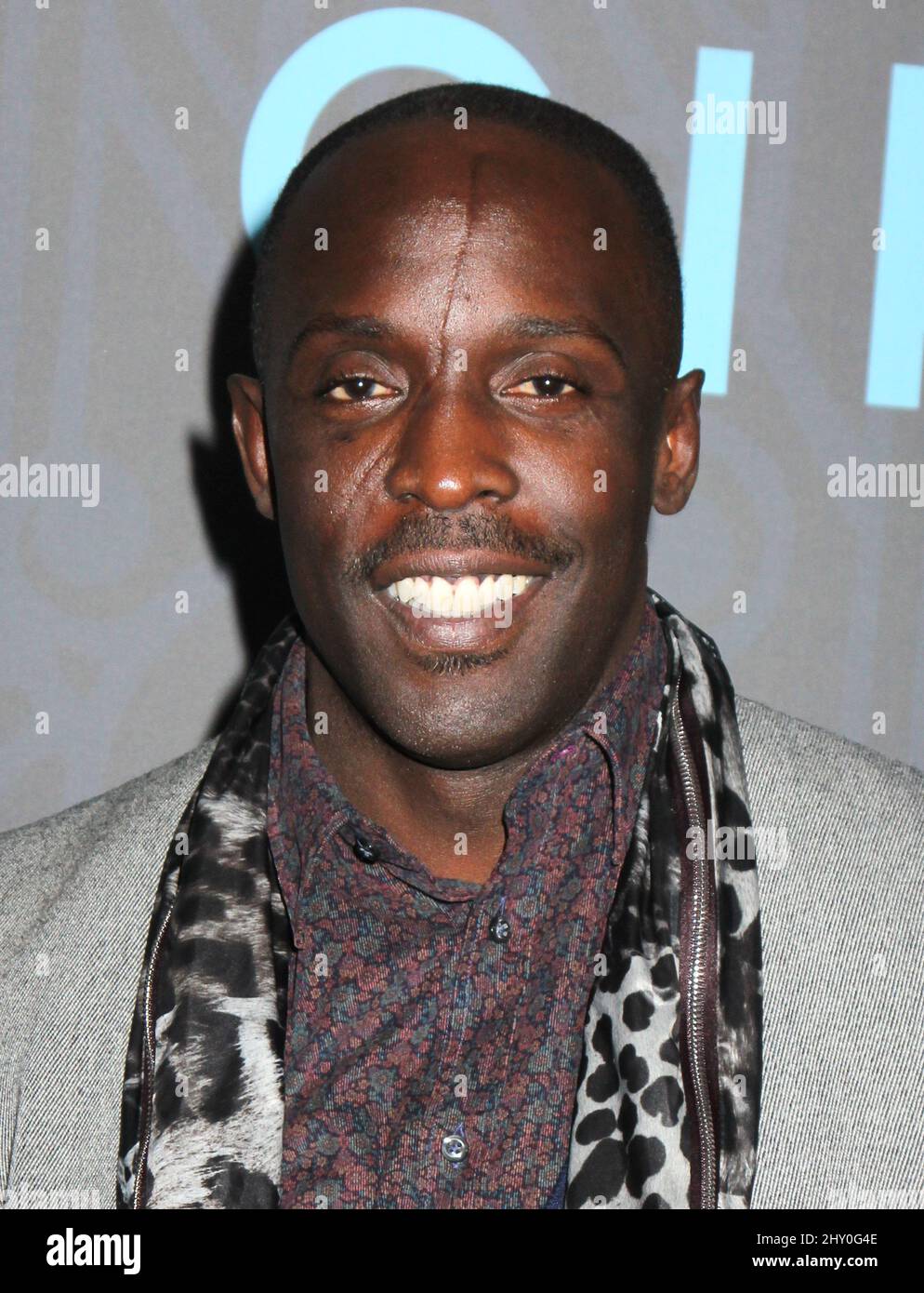 Michael Kenneth Williams attending the premiere of HBO's "Girls" Season ...