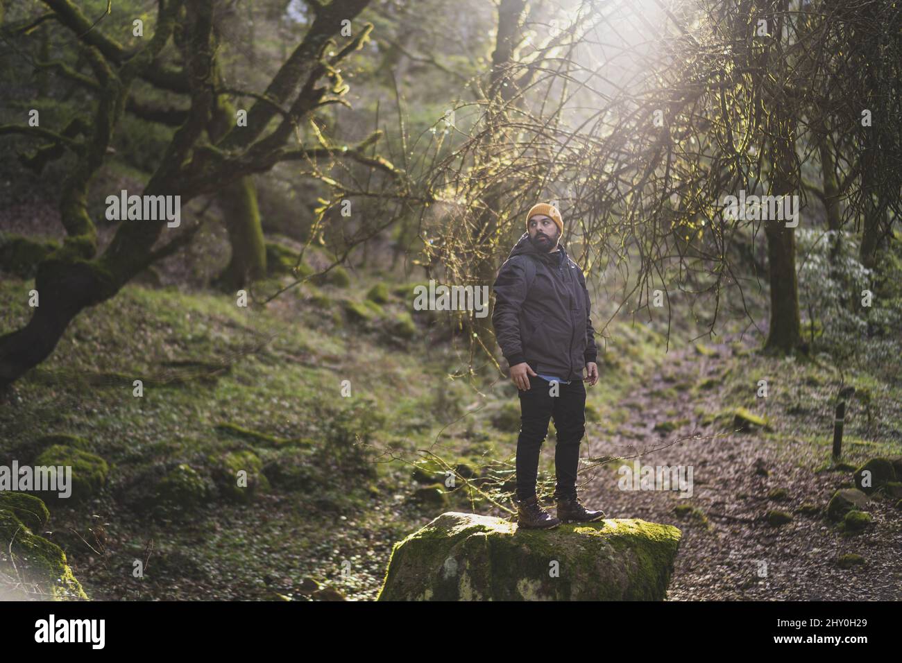 Male on a big rock in a lush forest during the hike with the background ...