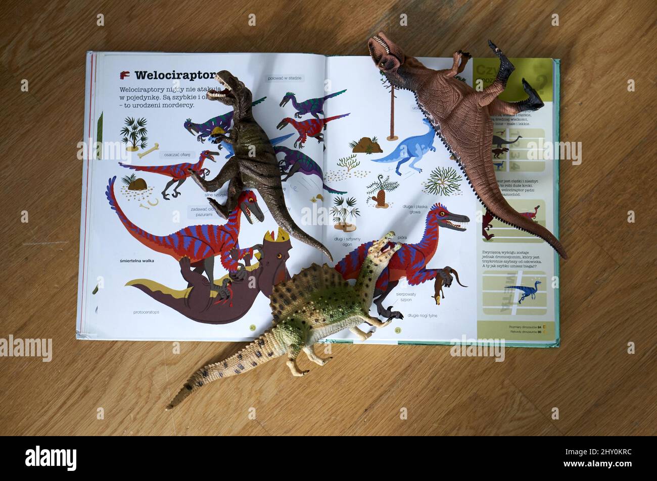 Collecta and Schleich brand toy figurine dinosaurs laying on an open ...