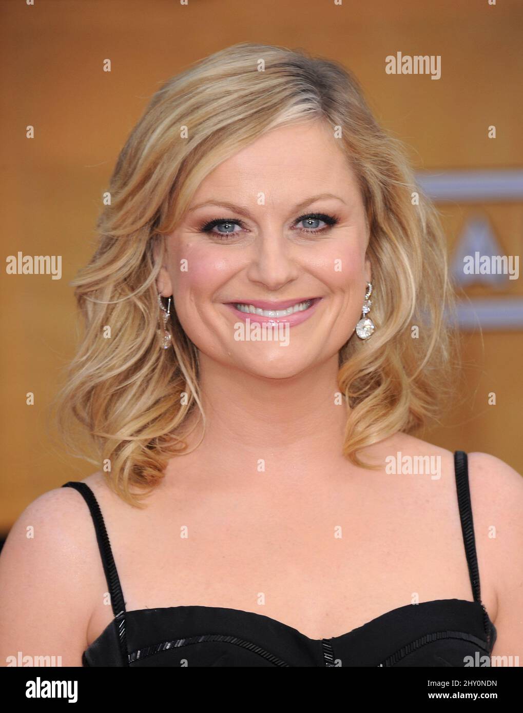 Amy Poehler arriving at the 19th Annual SAG Awards held at the Shrine ...