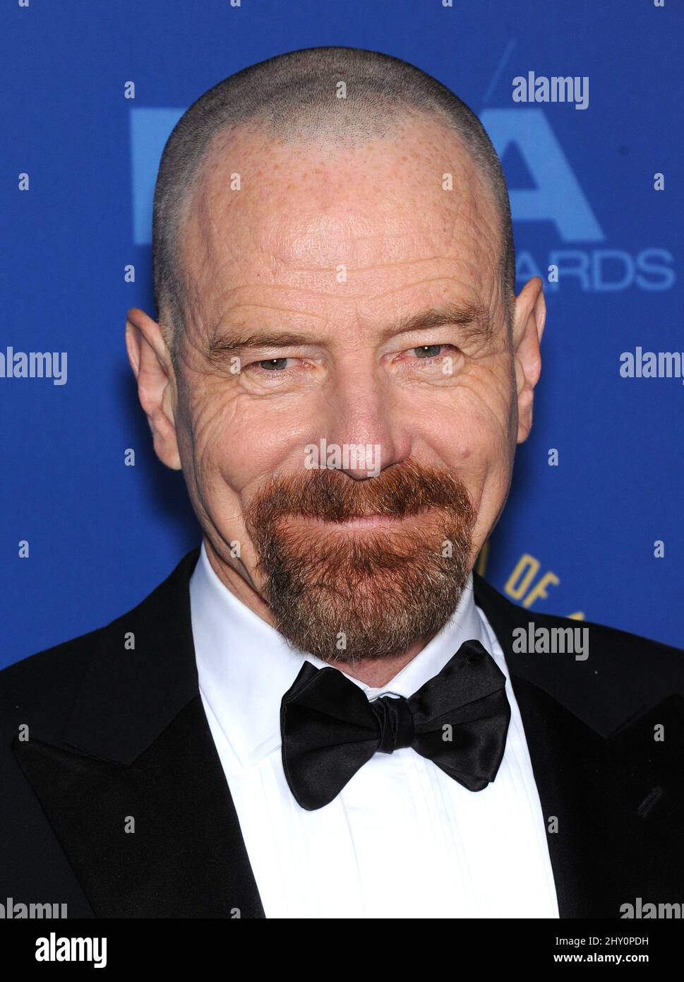 Bryan Cranston attending the 65th Directors Guild Awards at the Ray ...