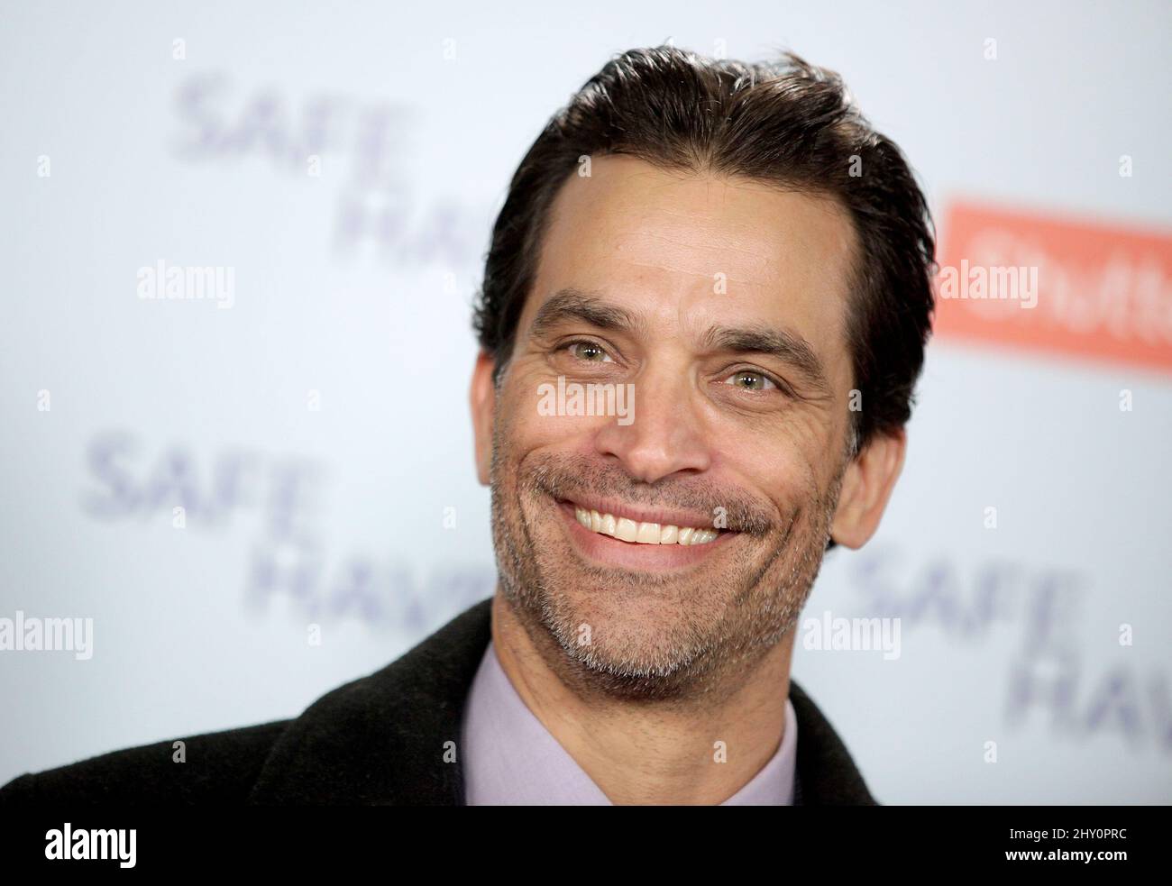 Johnathon Schaech attending the premiere of "Safe Have" in Los Angeles ...