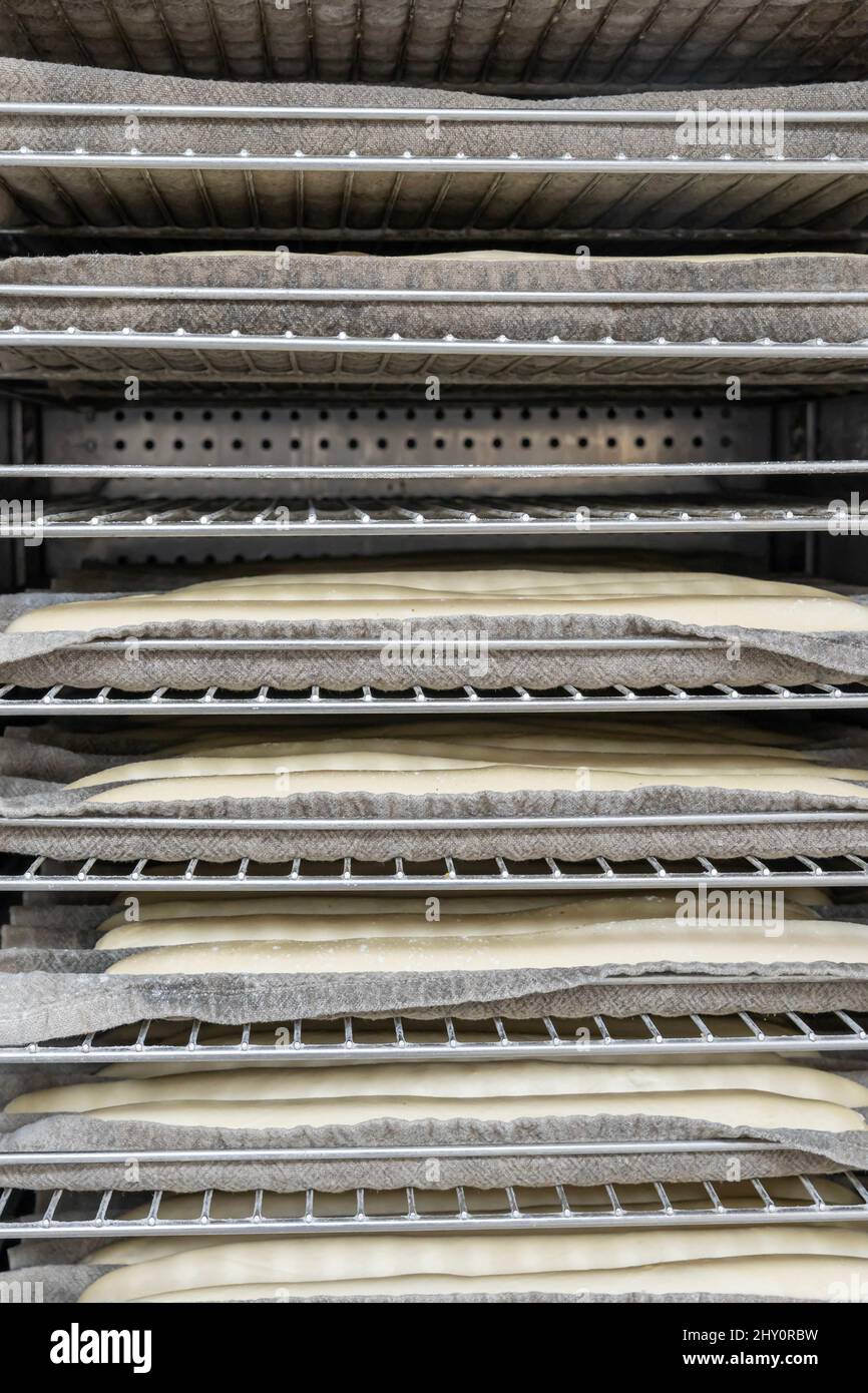 Artisan baker and pastry chef. Detail of bread proofing chamber in a ...