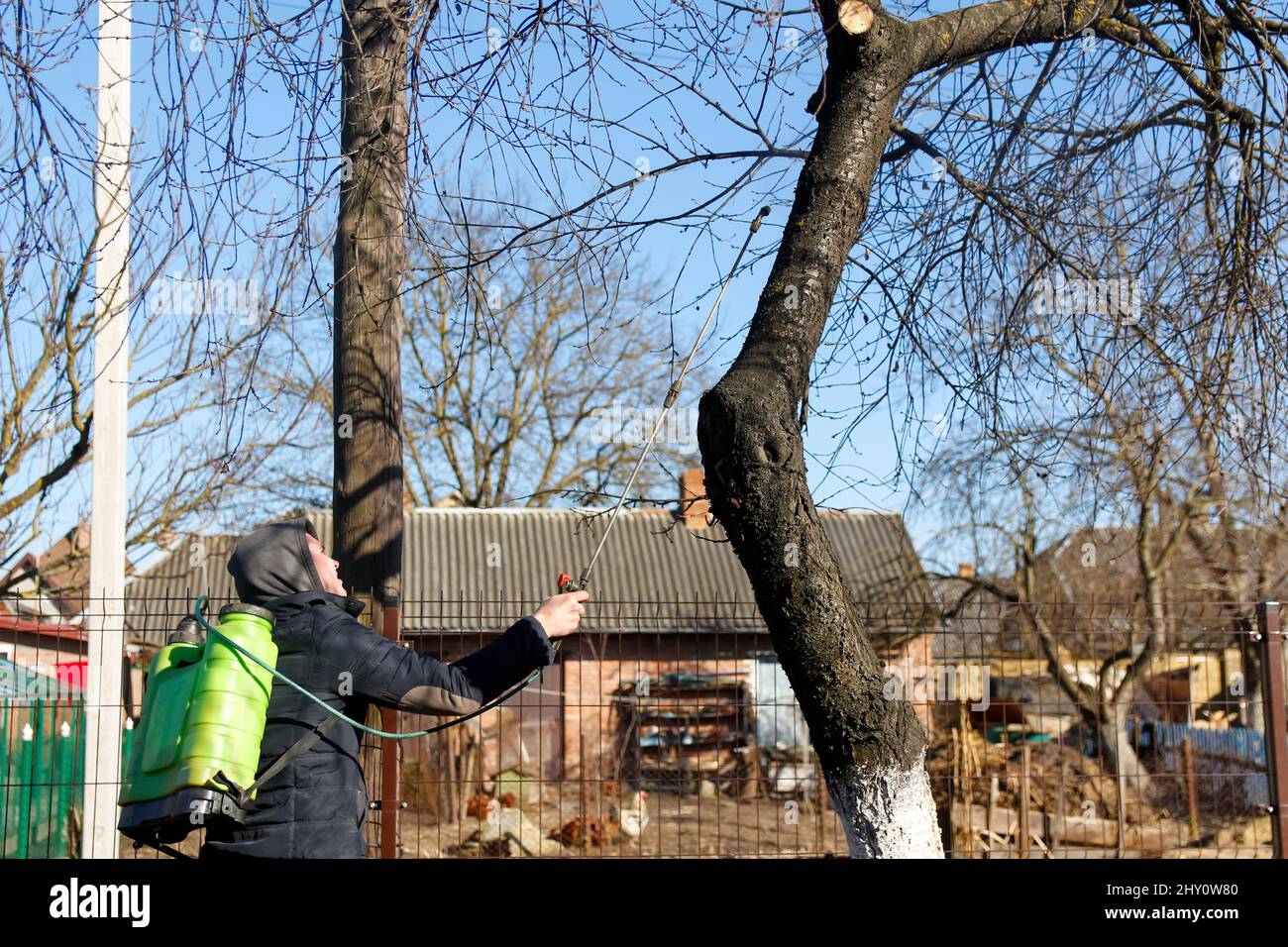 Fumigating Pesti Pest Control Defocus Farmer Man Spraying Tree With