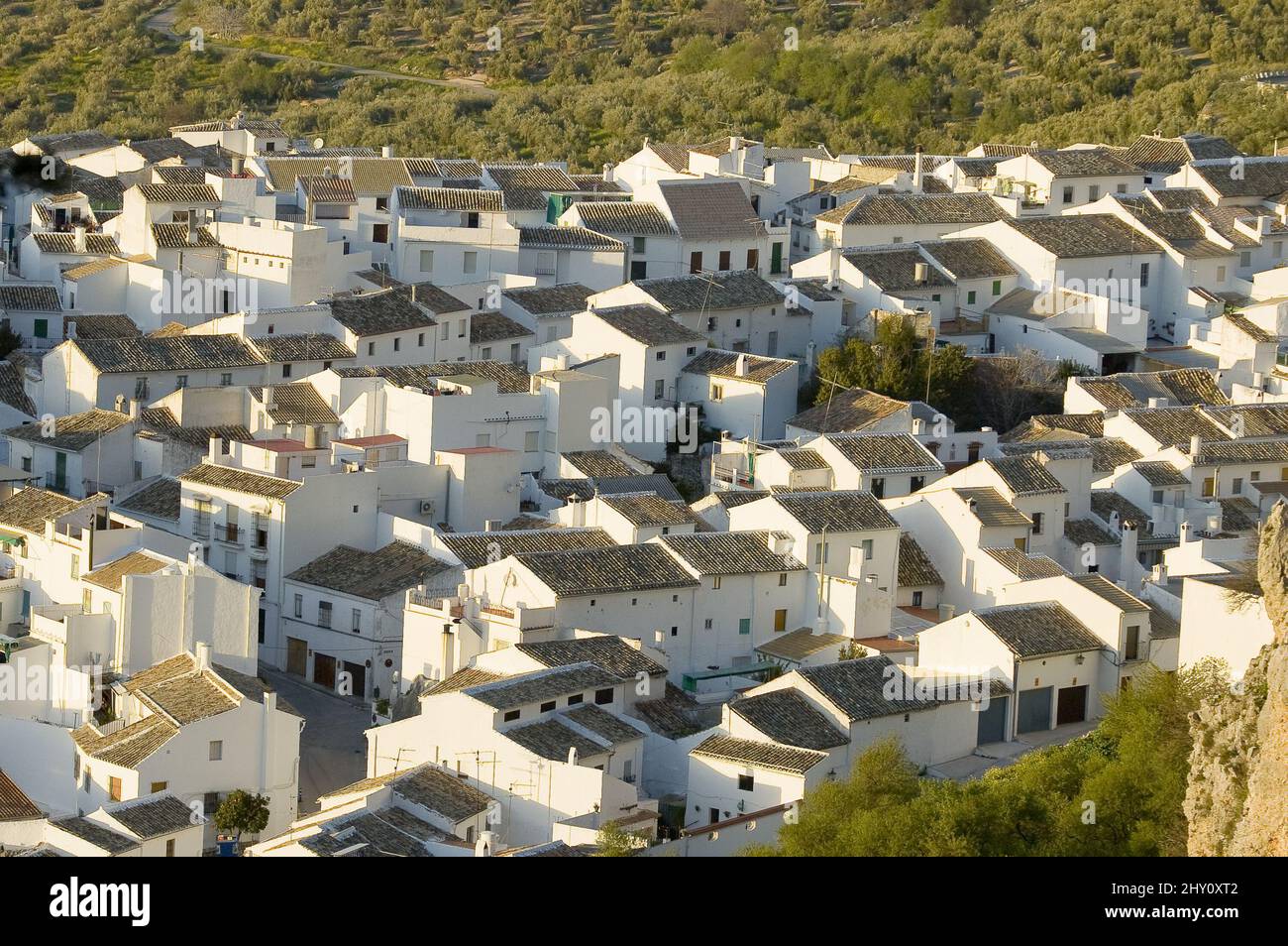 Bird's eye view of white buildings with grey rooftops surrounded by ...