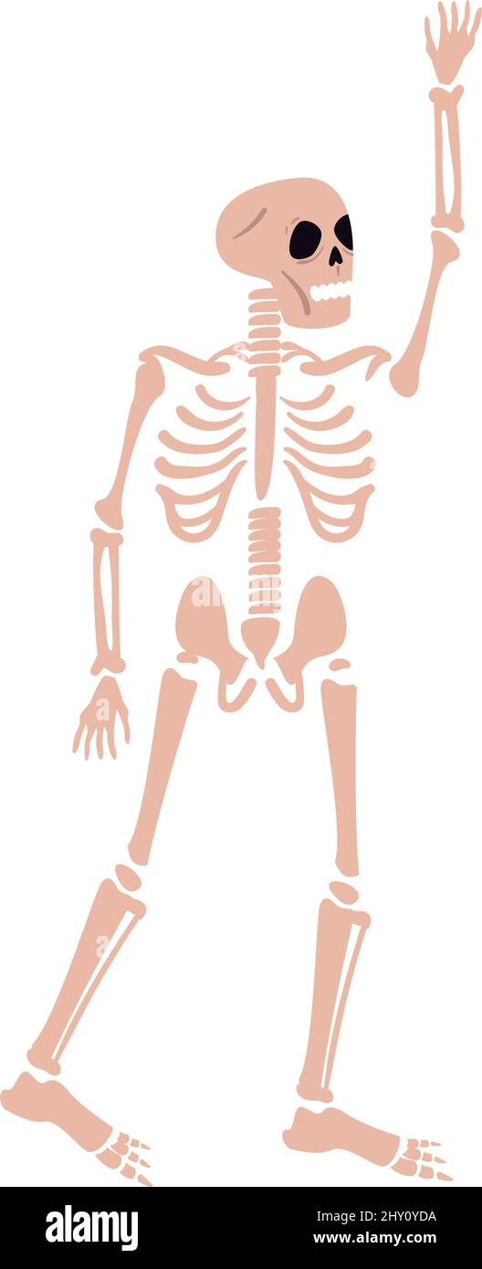 Skeleton waving Stock Vector Images - Alamy
