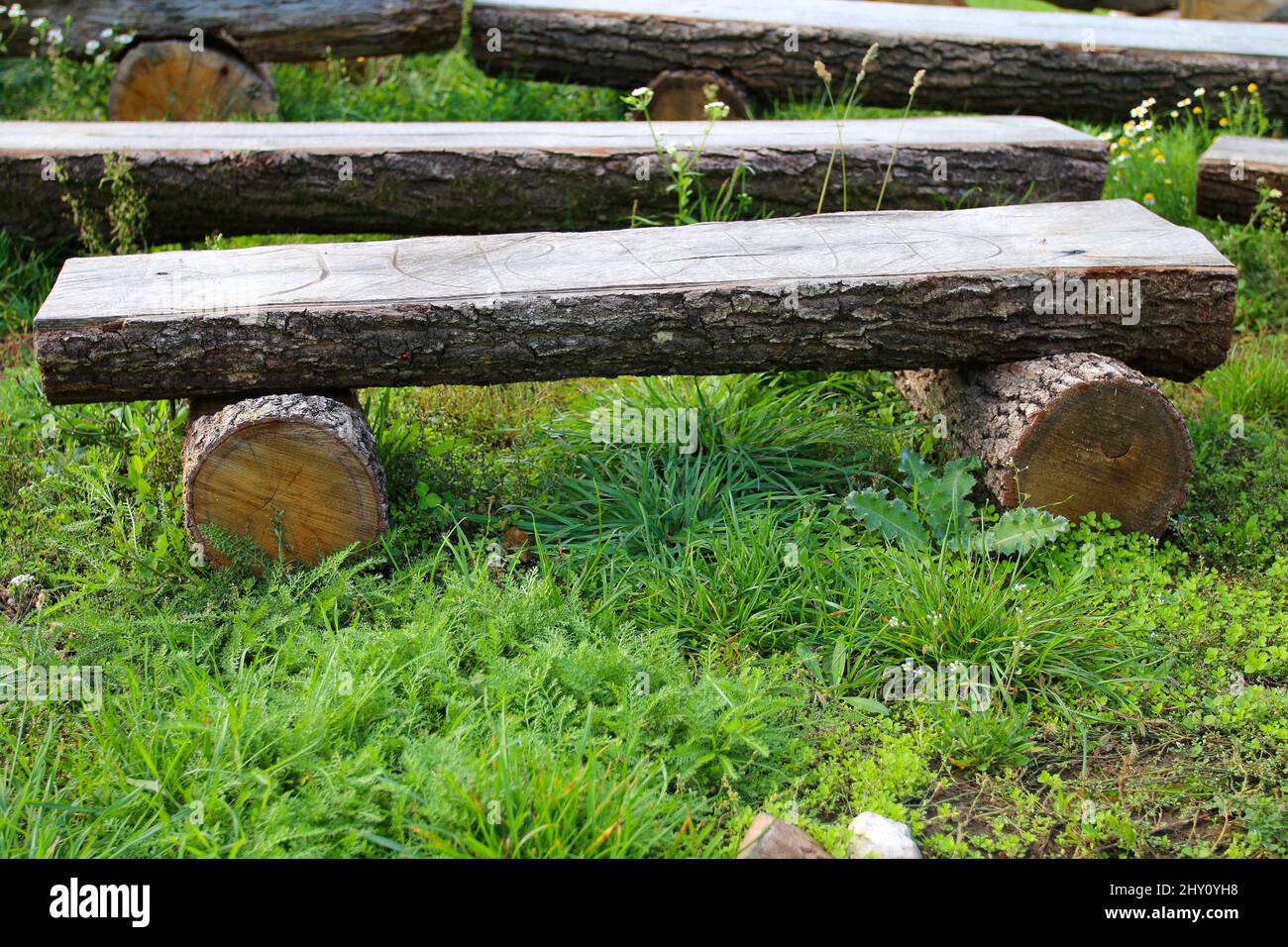 Shot of handmade benches made of tree logs in green grass Stock Photo - Alamy