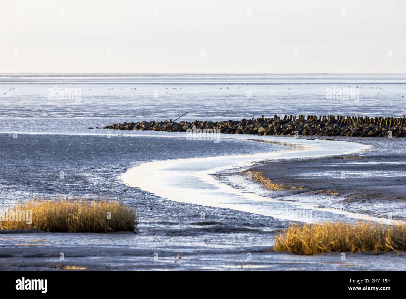View of water waves and mudflats near the coast of North Sea in ...