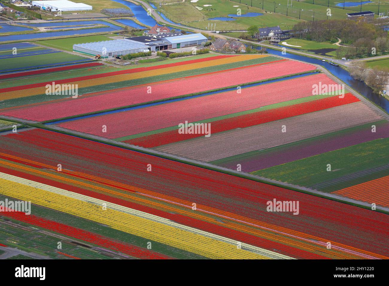 A general aerial view of the North Holland Bulb Fields from the 2012 ...