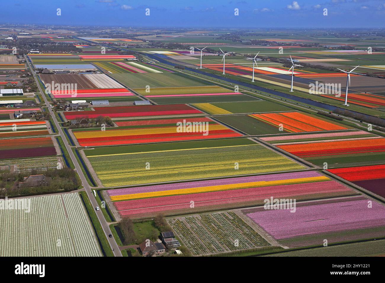 A general aerial view of the North Holland Bulb Fields from the 2012 ...
