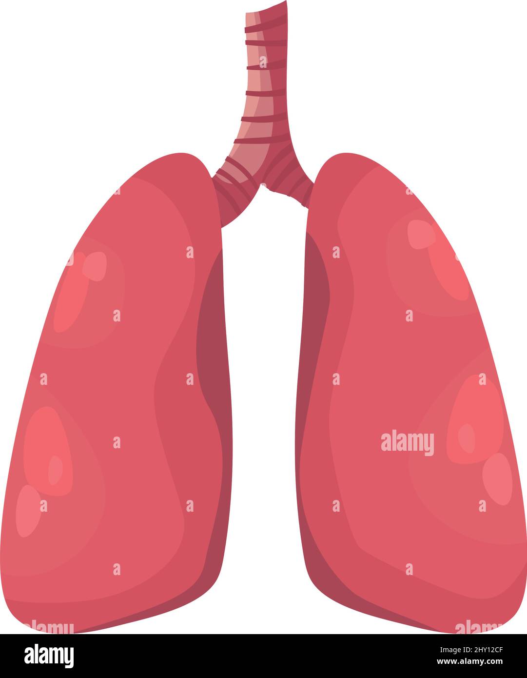 flat realistic lungs design Stock Vector Image & Art - Alamy