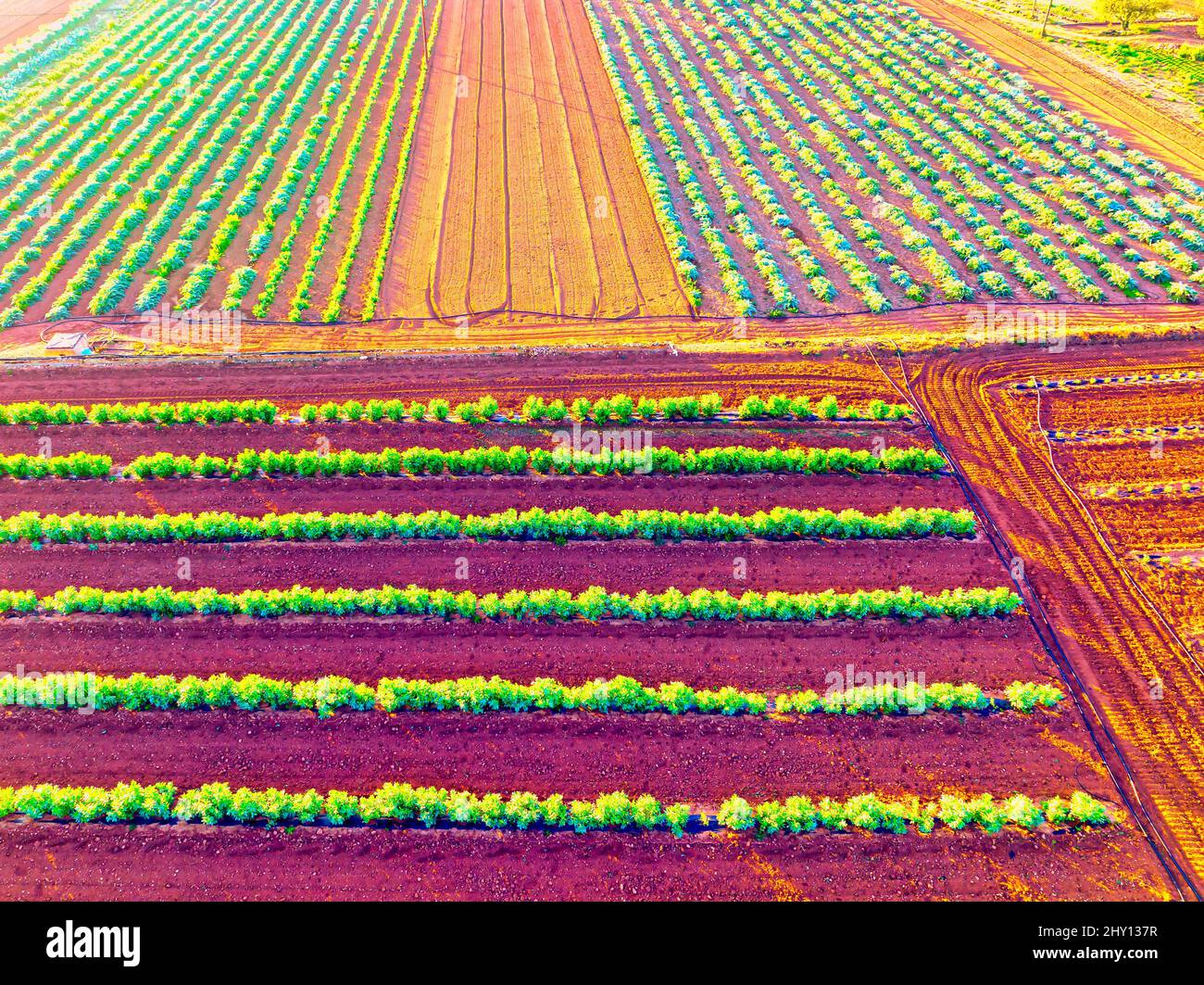 Aerial view of the beautiful fields patterns Stock Photo - Alamy