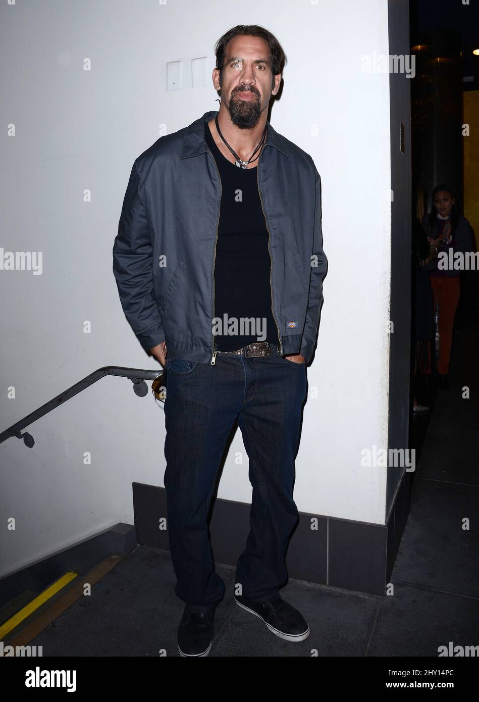 Willig hi-res stock photography and images - Alamy