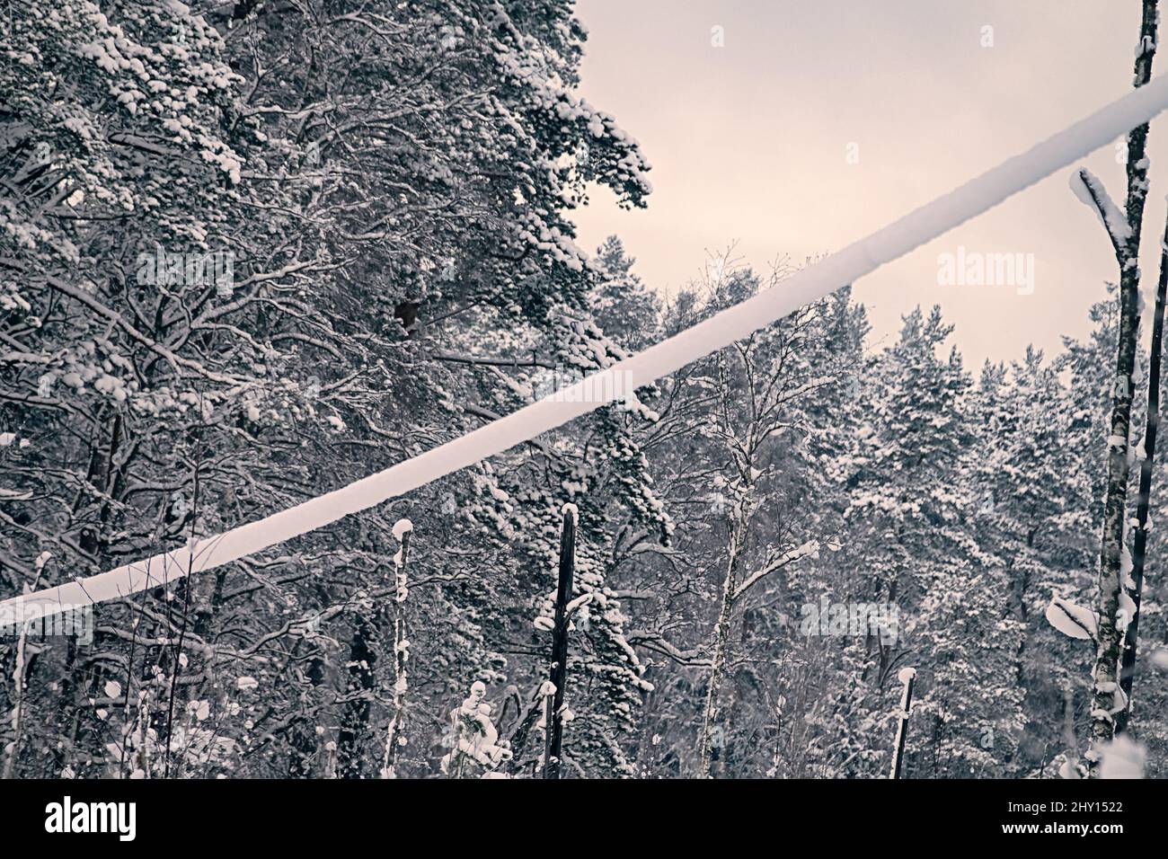 The electric cable is covered with frozen snow and frost after sleet ...