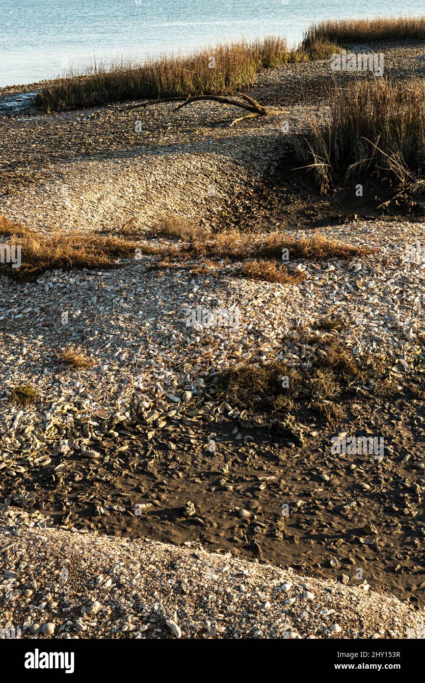 Murrells inlet marsh walk hi-res stock photography and images - Alamy