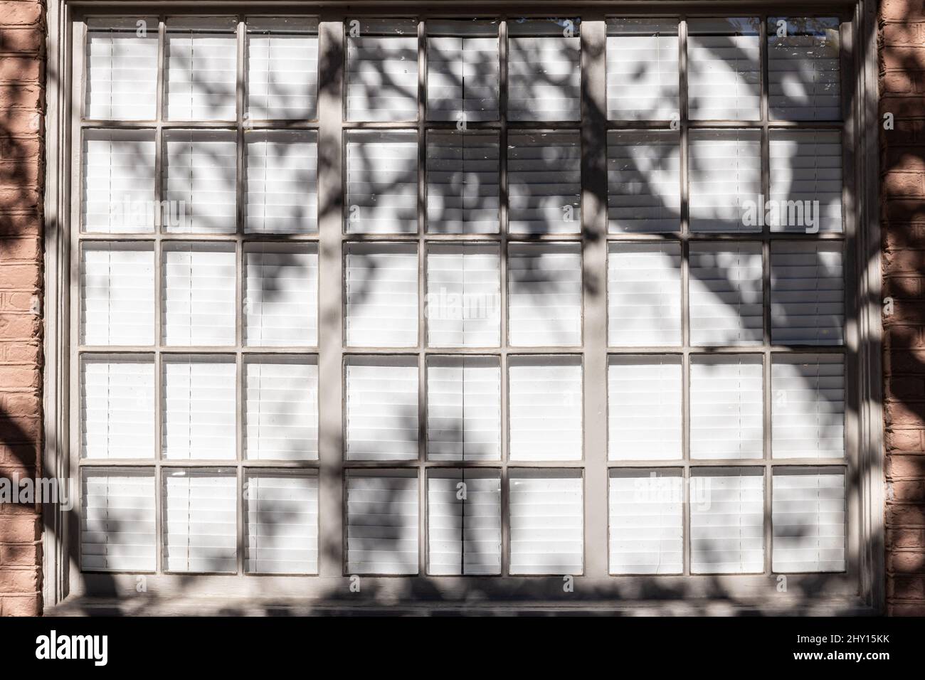 Vertical shot of a white glass window in a brick buildings in ...