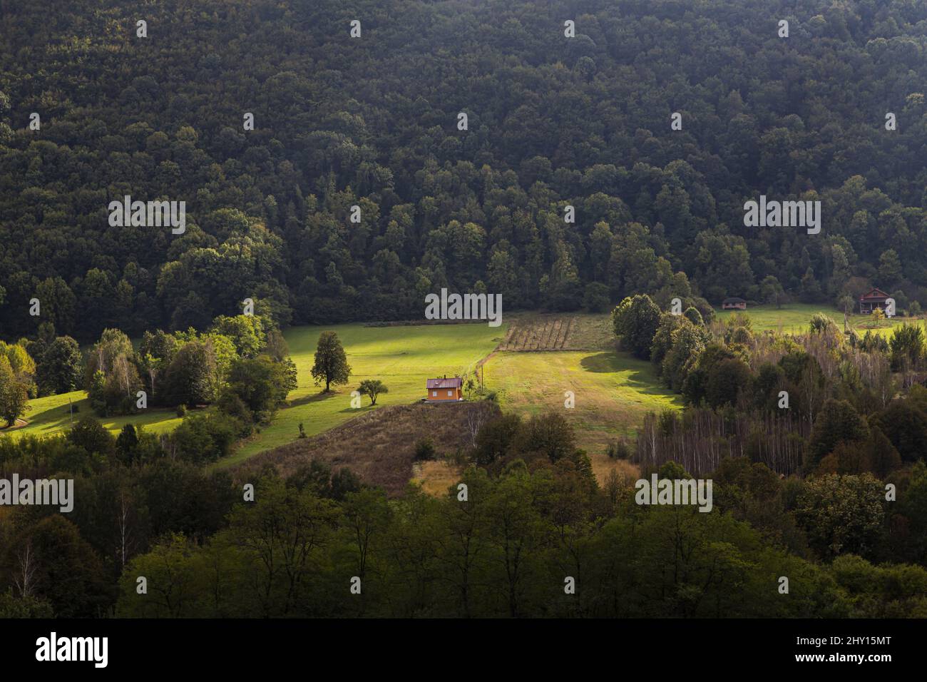 Small house surrounded by trees in the forest Stock Photo - Alamy