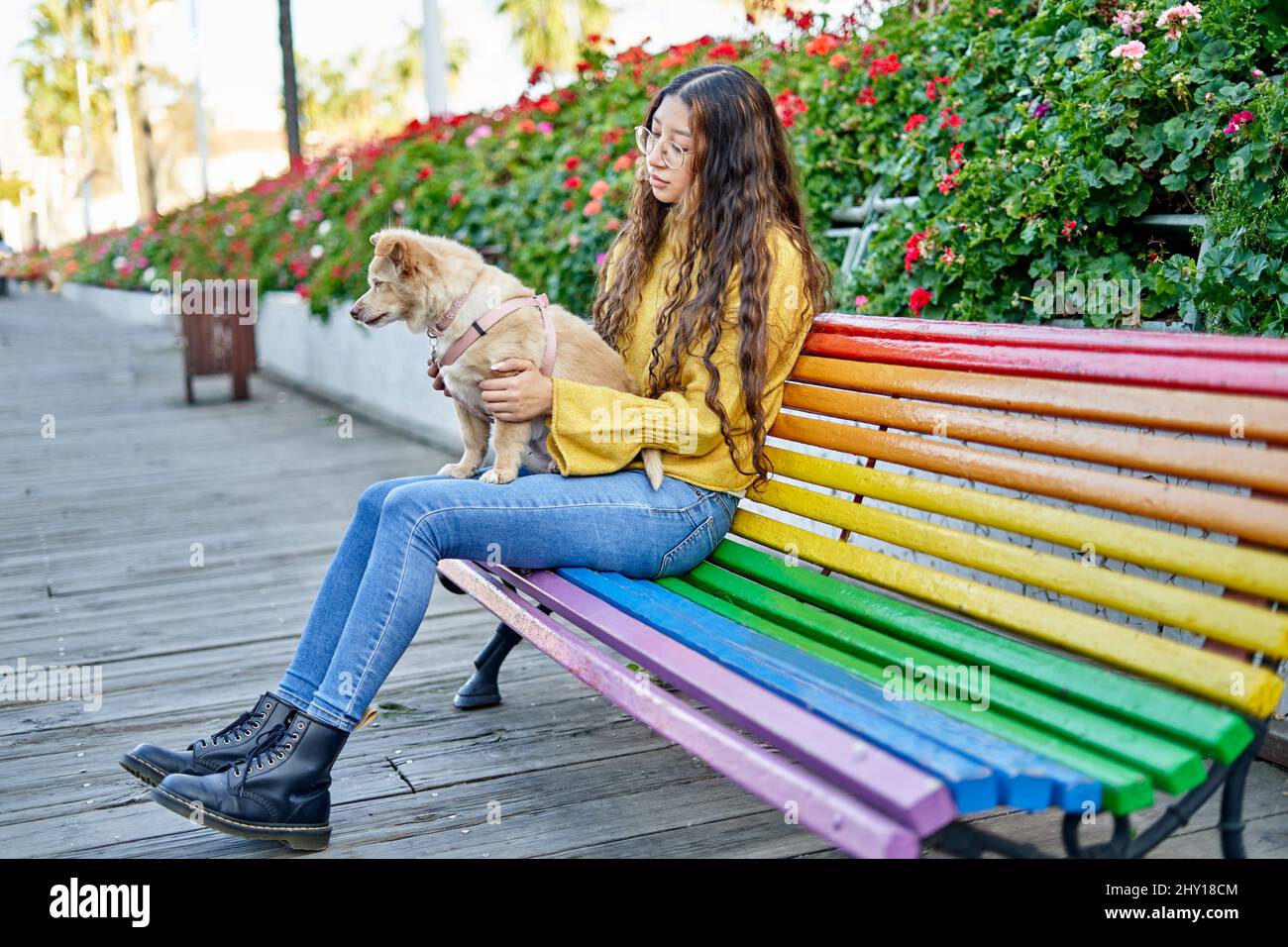 Young female owner with curly hair and cute dog sitting on colorful ...