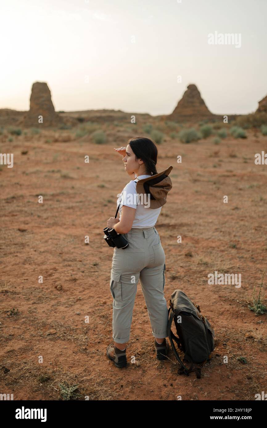 Full body back view of female tourist with binoculars looking into ...