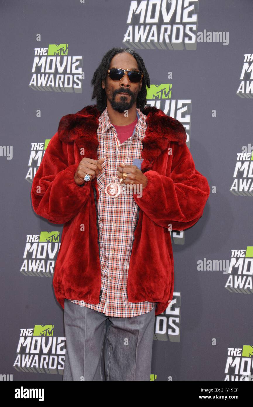 Snoop Lion Animorphs