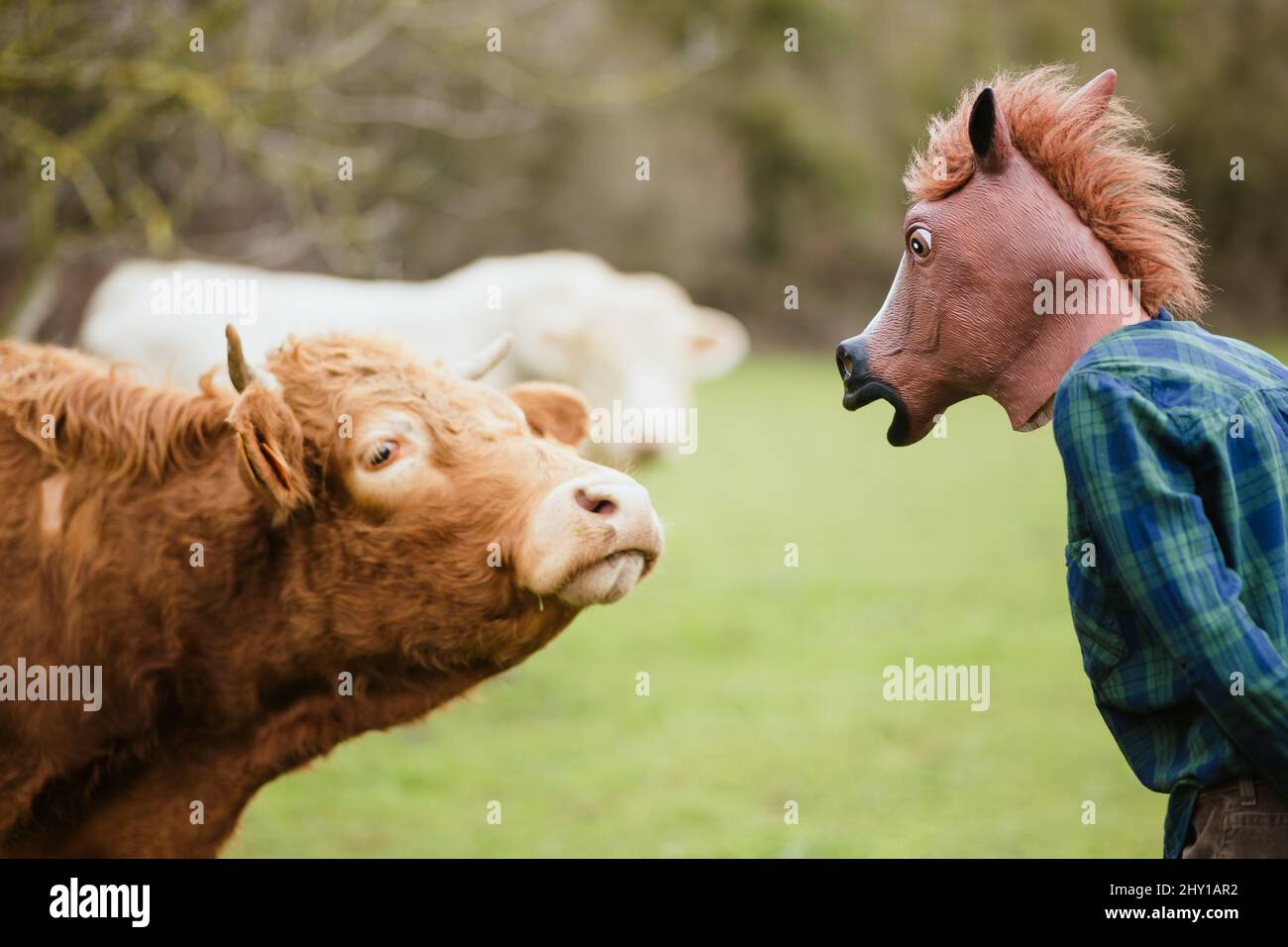 Side view of faceless person with horse mask standing at pasture and ...