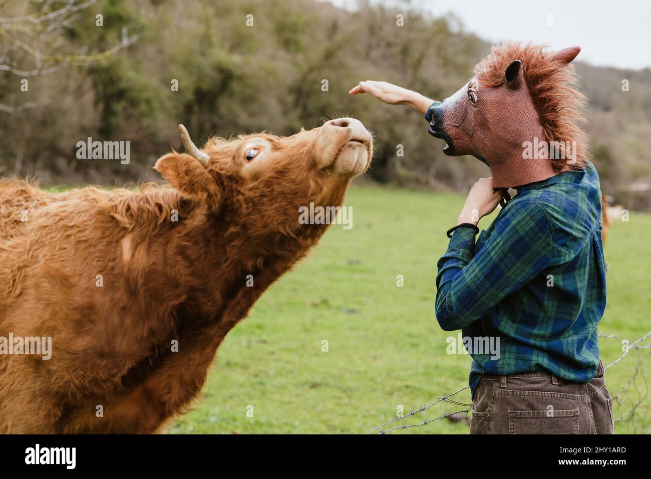 Side view of faceless person with horse mask standing at pasture and ...