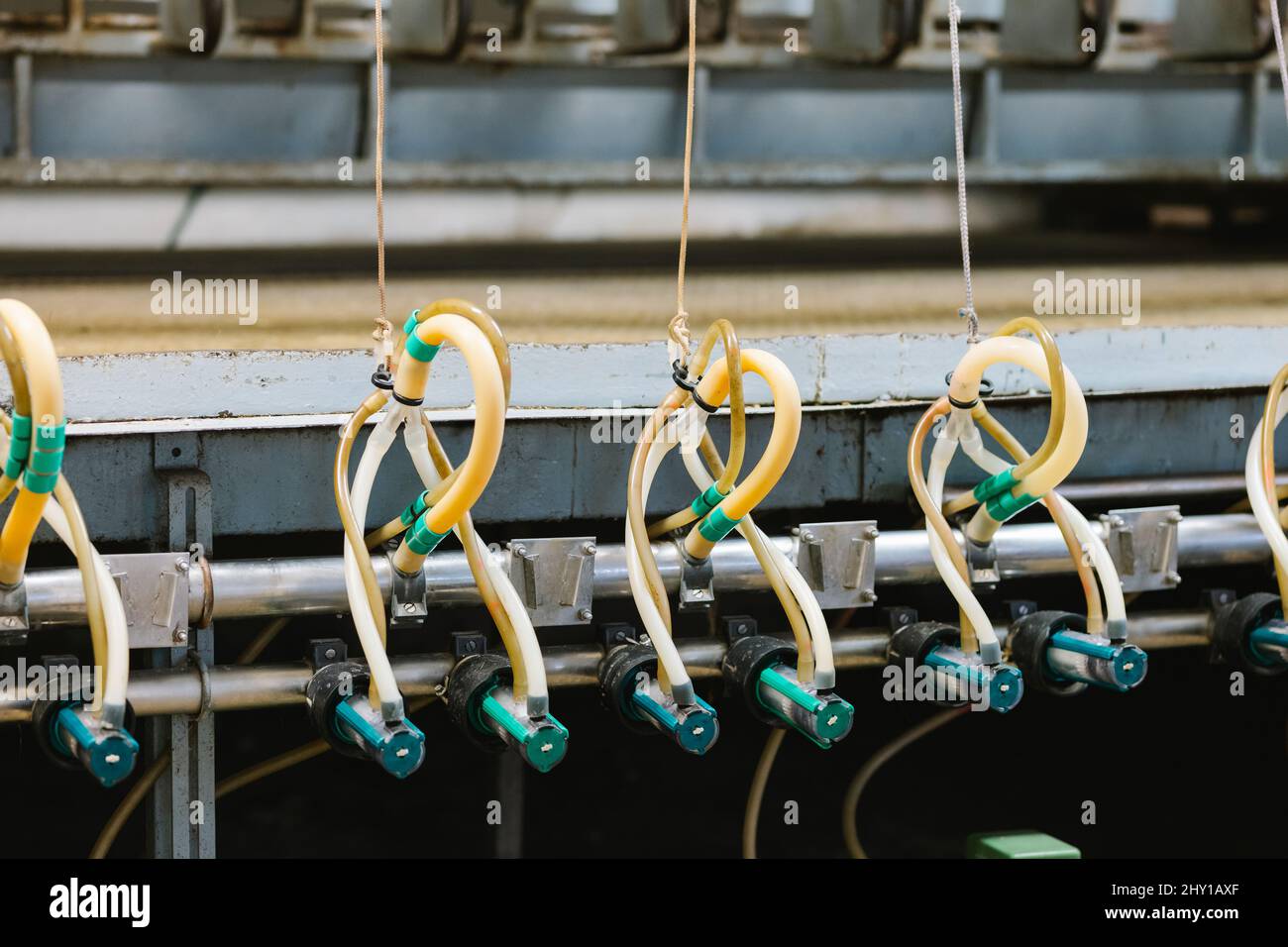 Milking system hi-res stock photography and images - Alamy