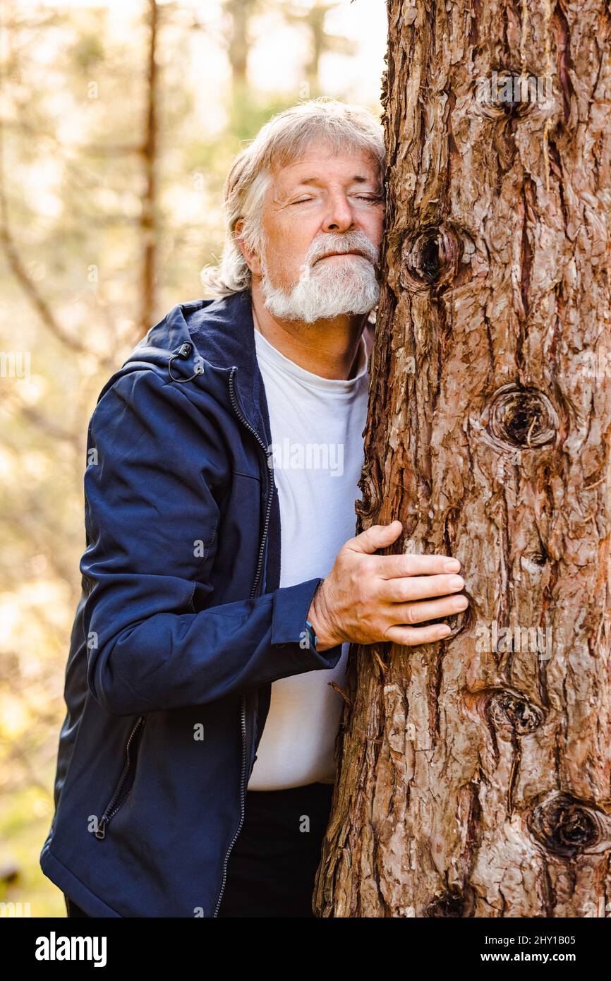 Elderly man with gray hair and beard hugging tree in autumn forest with ...
