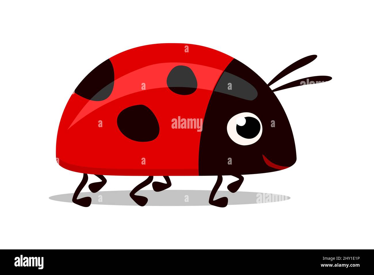 Illustration of a cute red lady bug isolated on a white background ...