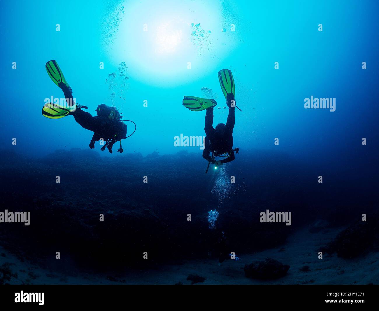 Professional divers in wetsuits and flippers swimming near rough stony ...