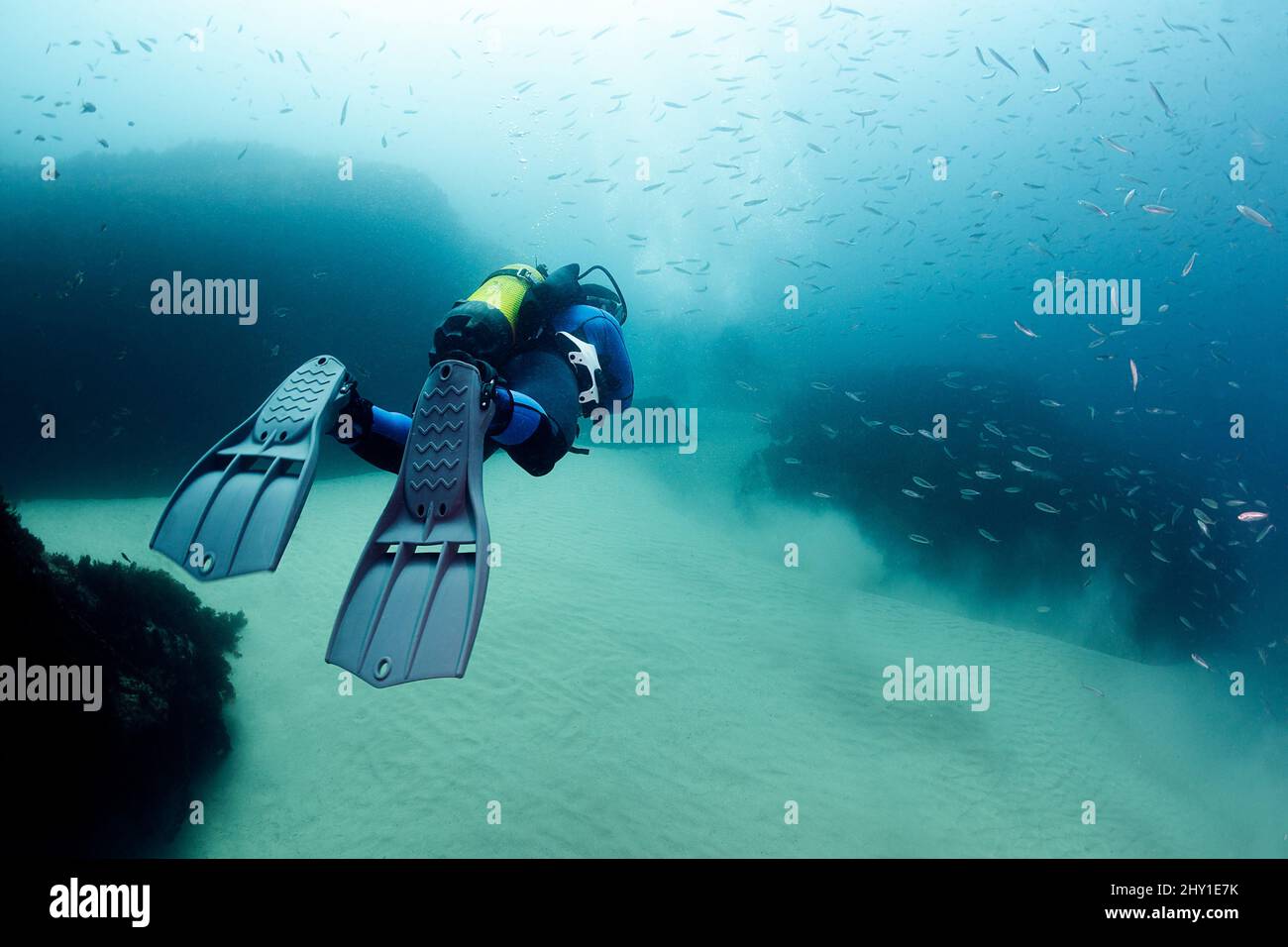 Deep sea diver and flash light hi-res stock photography and images - Alamy