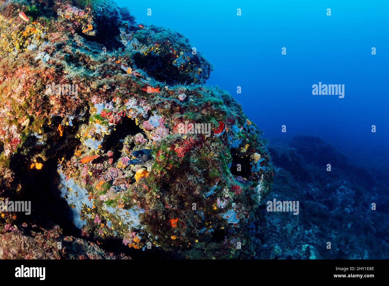 Rough rocky reefs covered with colorful corals in deep clear blue sea ...
