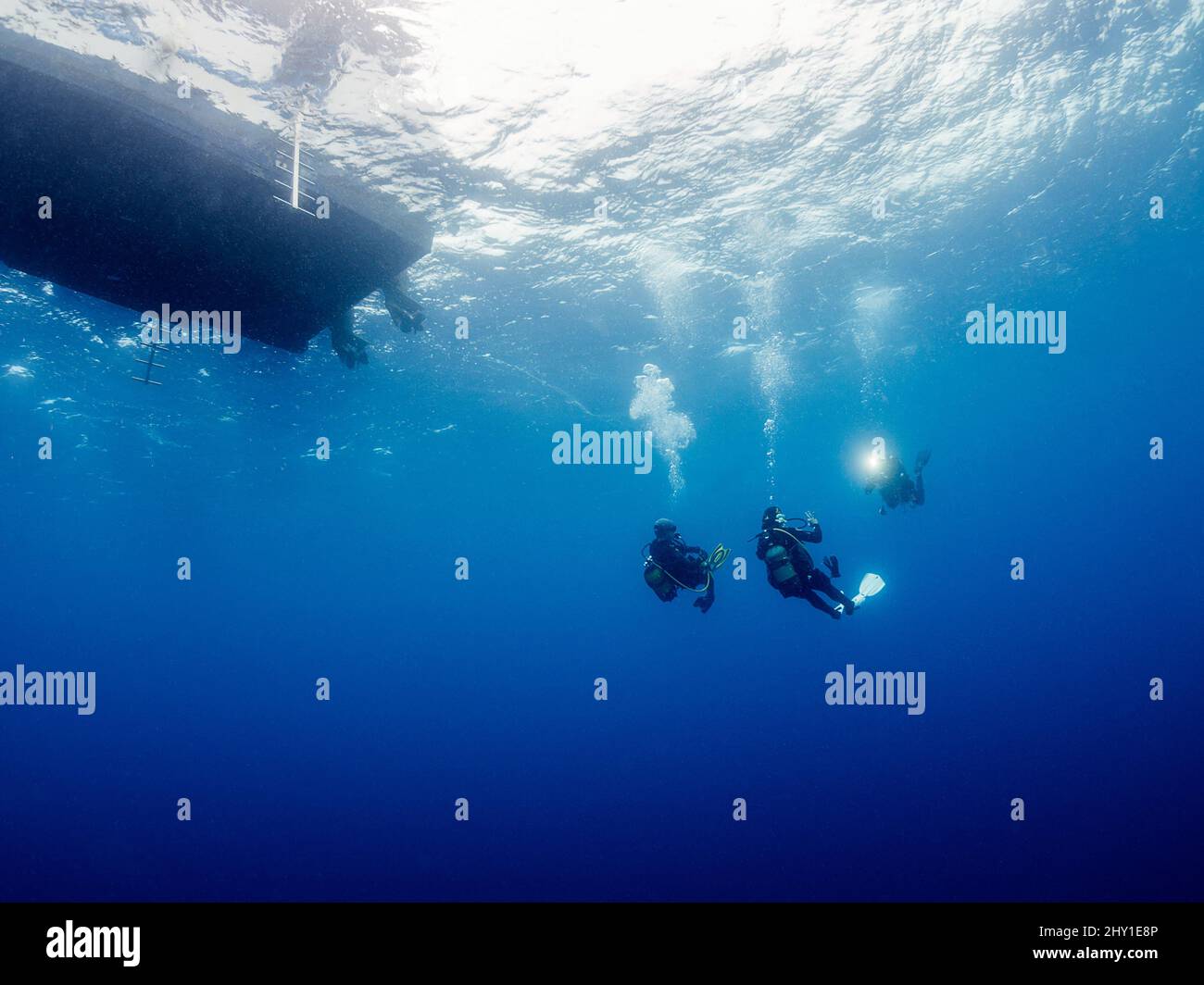 Professional swimmer light hi-res stock photography and images - Alamy