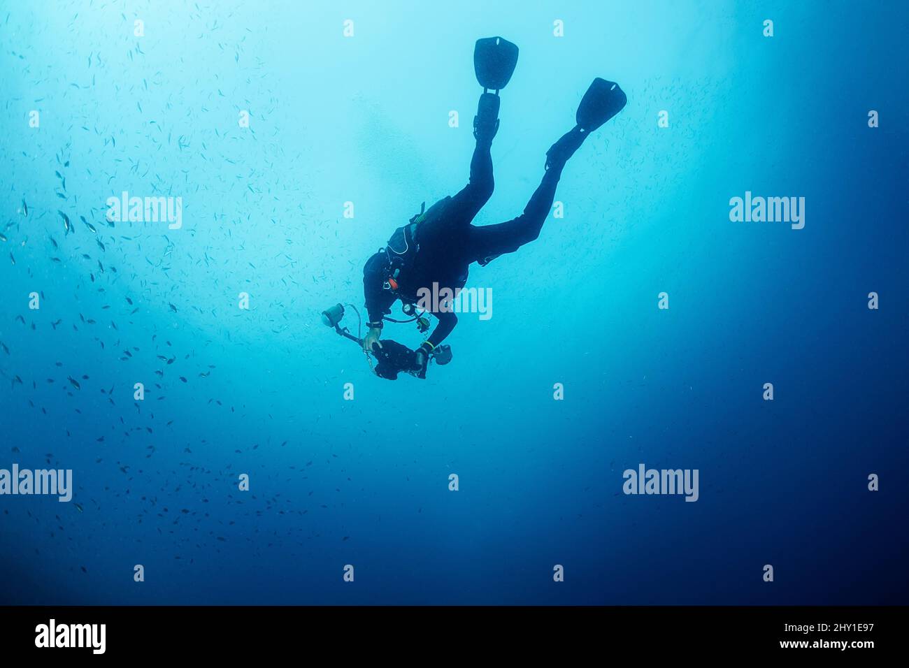 Full body from below of professional diver taking photo on photo camera ...