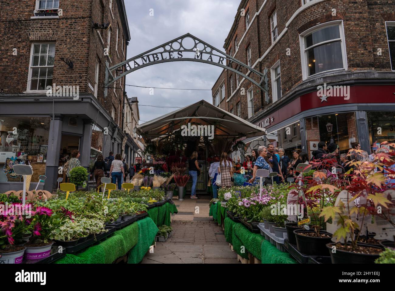The Shambles Market, a popular tourist destination in the town centre ...